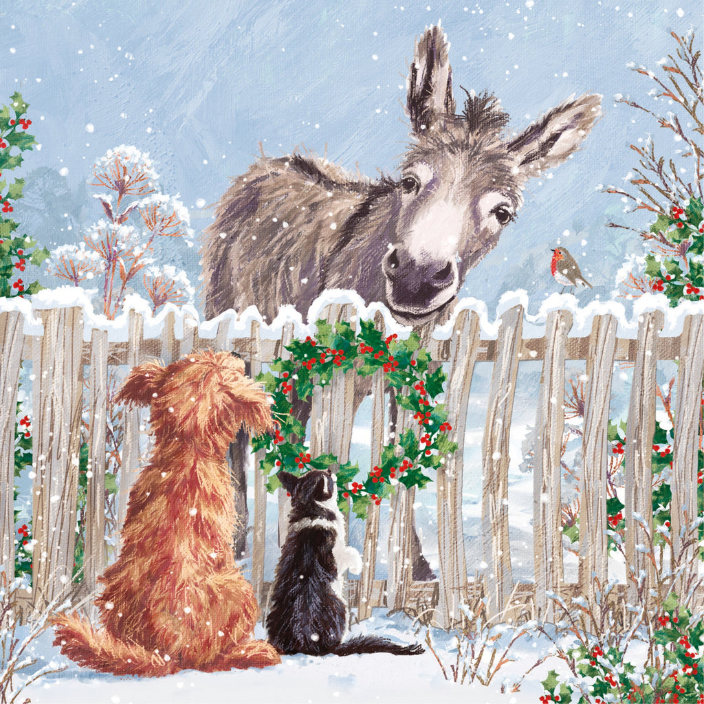 Asinus and Friends (pack of 10 cards)